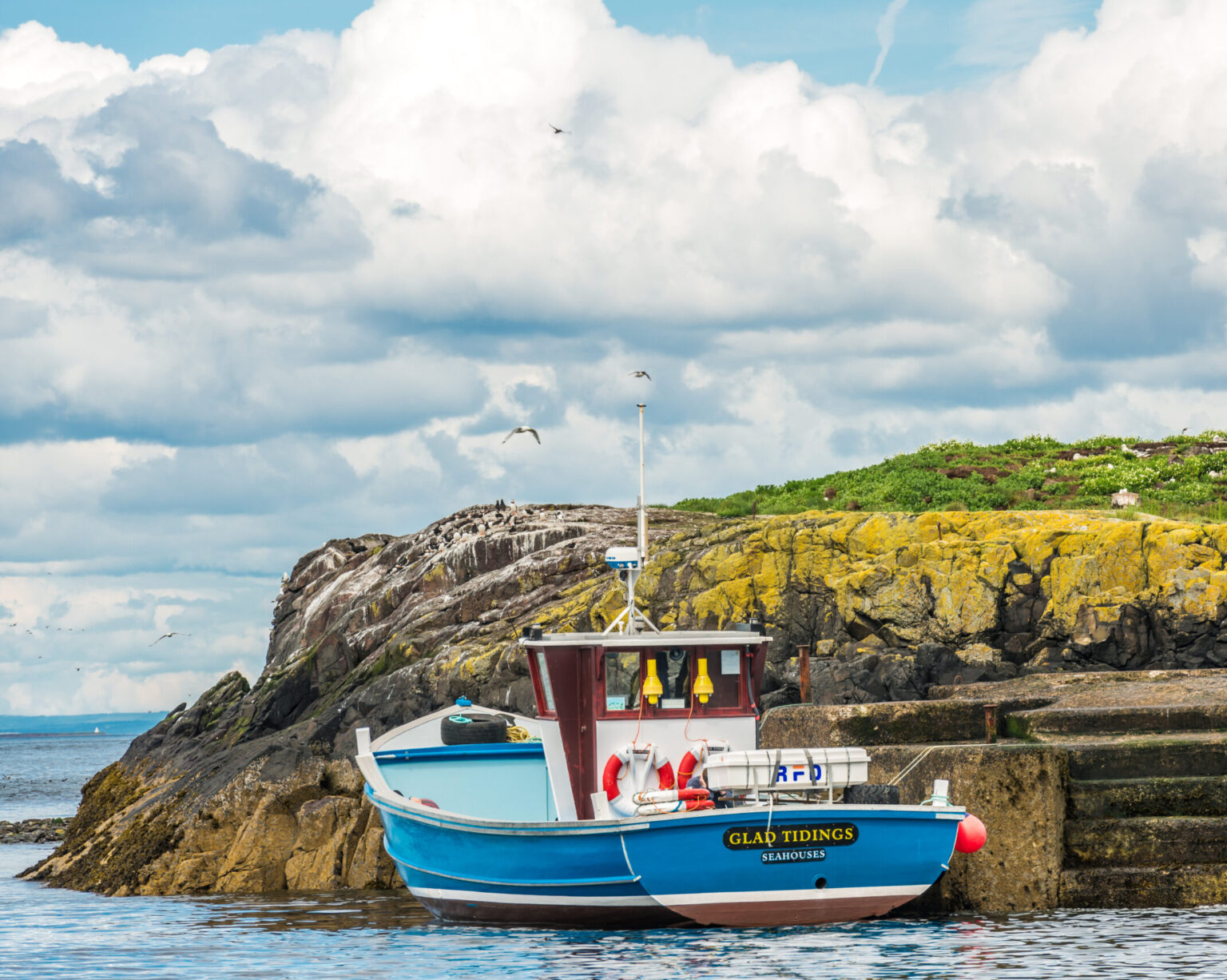 A Wildlife Spotting Guide to the Farne Islands - Stay in a Pub