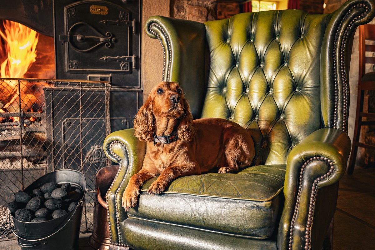 Dog-Friendly Pub Stays in North Yorkshire (From Moorland Inns to Dales ...