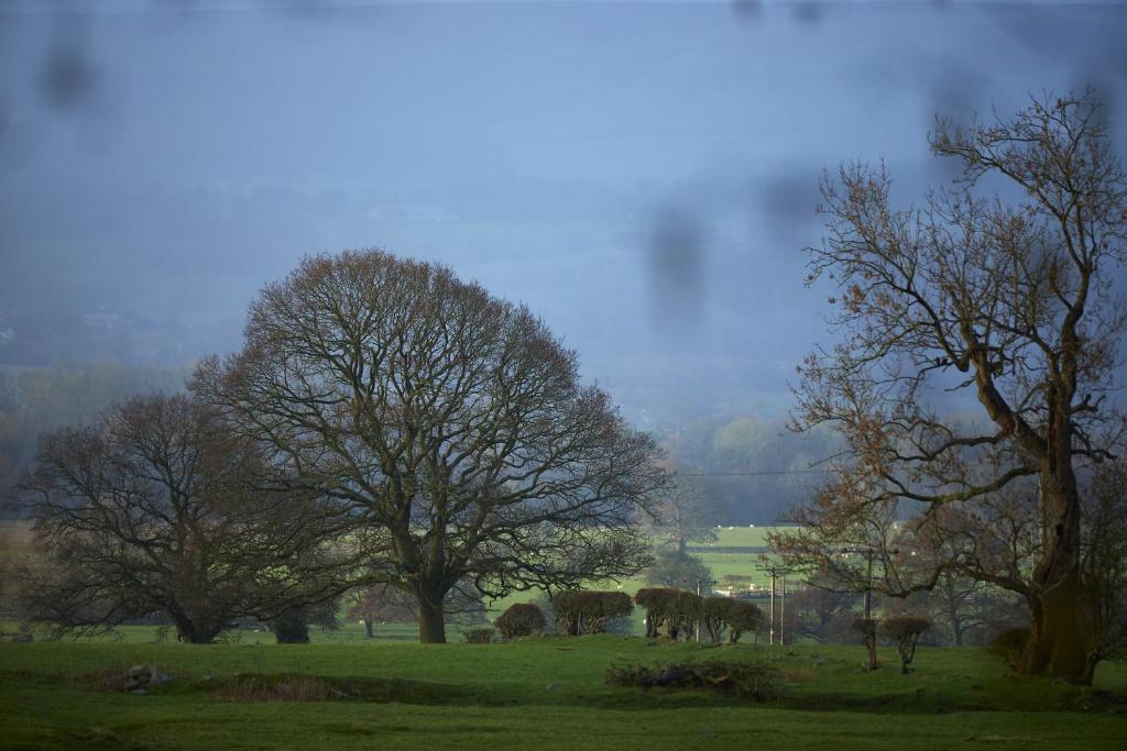 The Penny Bun near Ilkley Askwith North Yorkshire