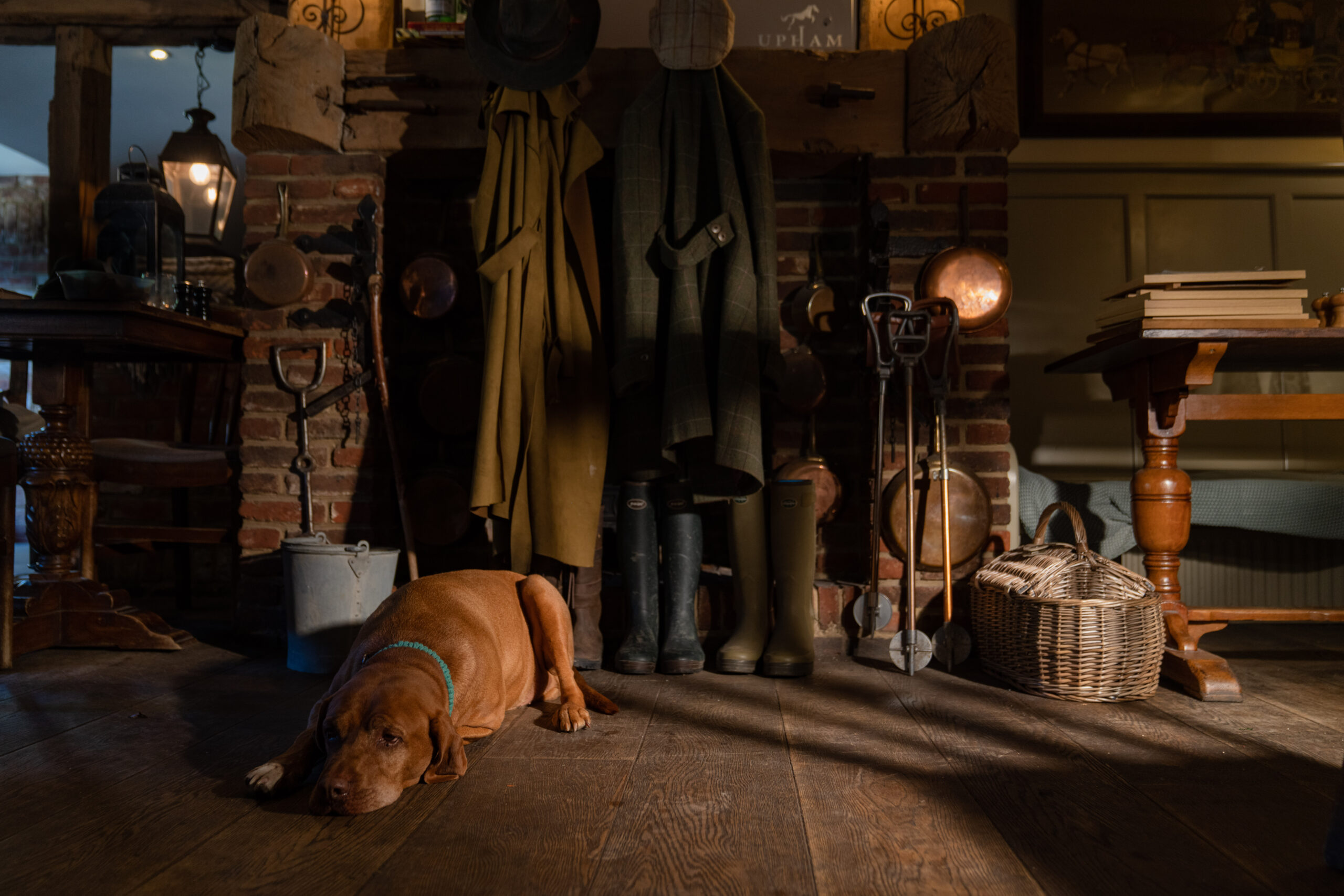 Dog-Friendly Pub Stays with Scenic Walks Around the UK - Stay in a Pub