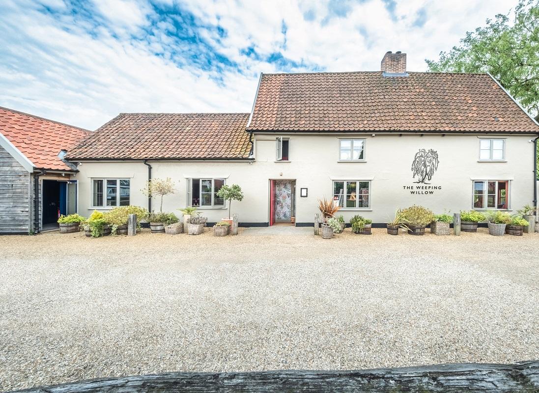 The Weeping Willow near Newmarket Barrow Suffolk